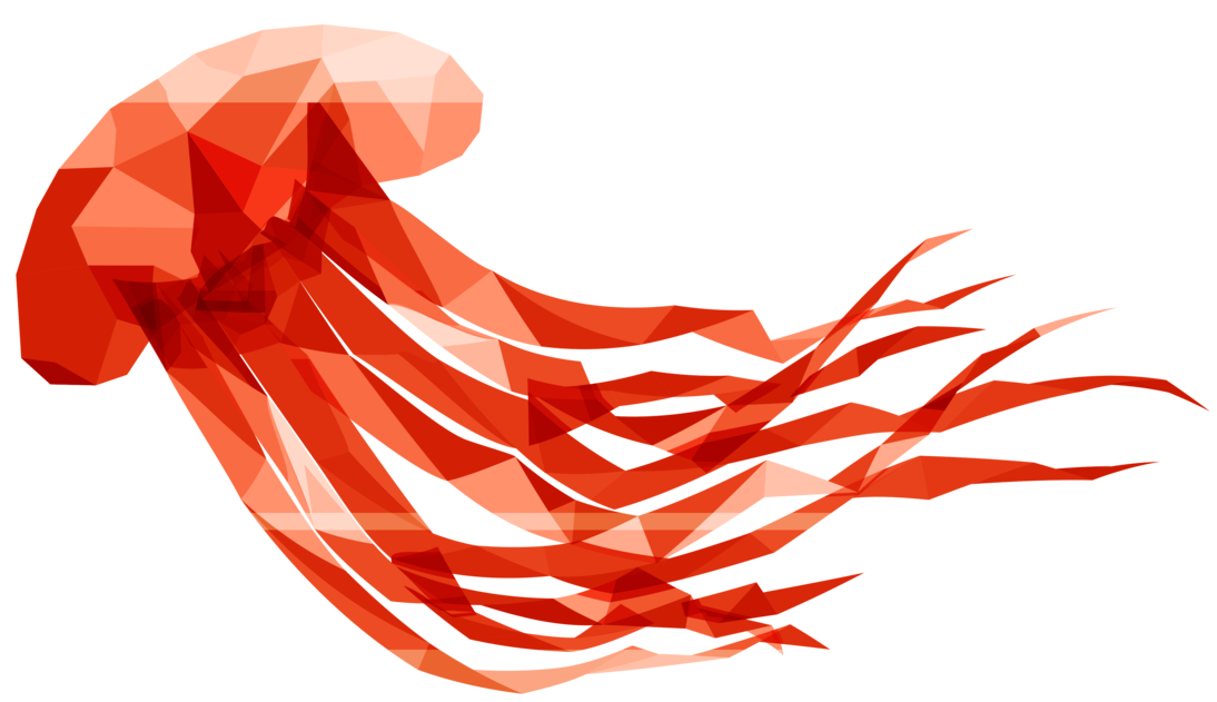 Setting Up An Ubuntu Virtual Machine In Virtualbox Coder Sports
